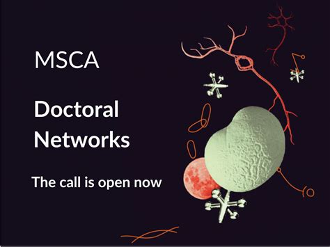 Marie Skłodowska Curie Doctoral Networks Dn Under Horizon Europe Nawa