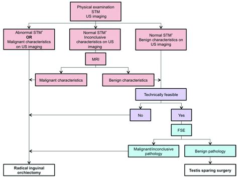 Our Proposed Algorithm For The Surgical Approach In Prepubertal Download Scientific Diagram