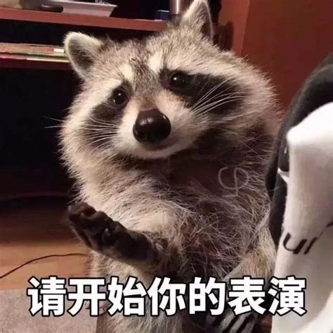 当南方姑娘嫁给东北老爷们场面可以说非常爆笑了