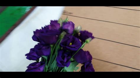 리시안보라동글 생화 인터넷꽃도매시장 생화택배 생화도매 인터넷꽃시장 인터넷꽃도매 장미대량구매 꽃 꽃다발 꽃도매 꽃시장 부산꽃시장 김해꽃시장 꽃쇼핑몰 김해꽃 부산꽃 꽃싸게사는법