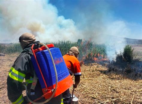 Incendios Forestales En Jerécuaro Y Laguna De Yuriria El Pípila