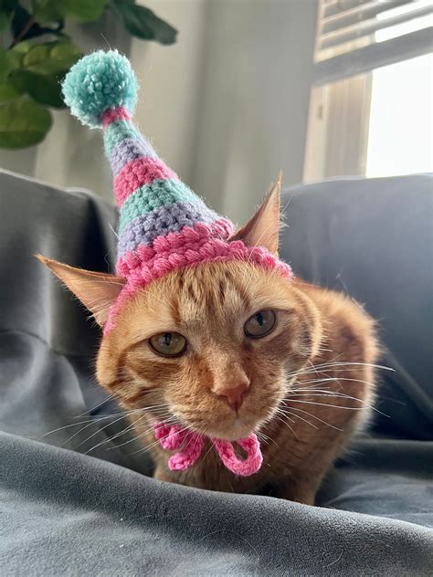 Cute Cat With Birthday Hat