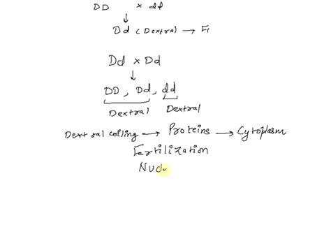 Solved Explain General Terms How Maternal Effect Gap And Pair Rule
