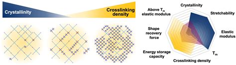 Long Memory Polymer Plastic Chain