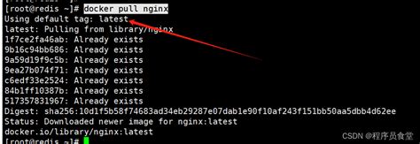 【docker】镜像使用（nginx 示例）docker Nginx 镜像 Csdn博客