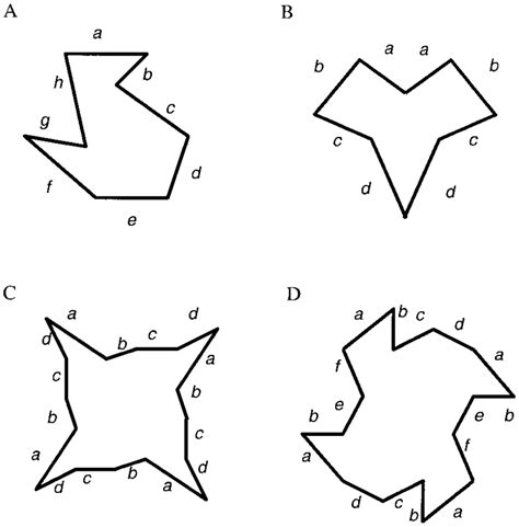 examples of different regularities a random polygon b bilateral download scientific diagram