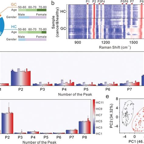 Perovskite Mediated Vibronic Coupling Of Semiconducting Sers For