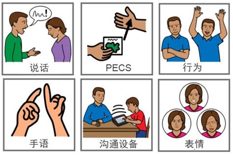 Pecs图片交换沟通系统（pecs） 课程回顾 Csdn博客