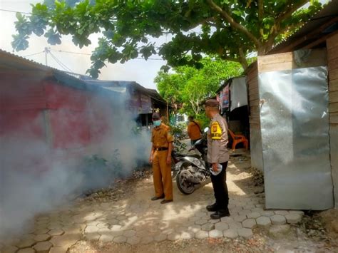 Cegah Wabah Dbd Bhabinkamtibmas Polsek Tualang Bersama Puskesmas