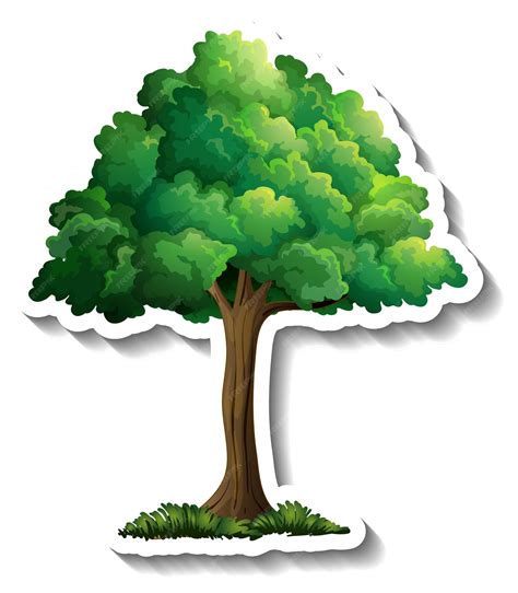 Free Trees Clipart