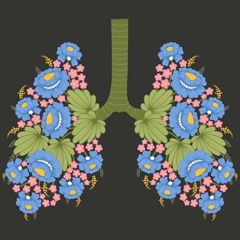 Respiratory System Without Labels Vectors And Illustrations For Free Download