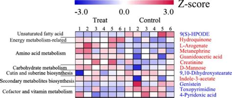 【派森诺多组学项目文章】 If114 宏蛋白组代谢组宏基因组助力研究海洋微生物在246 Tcp脱卤过程中的响应机制 知乎