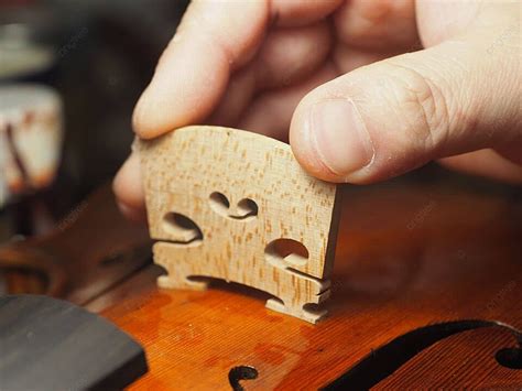 Master Violin Maker Carefully Placing A Bridge Onto A Violin With
