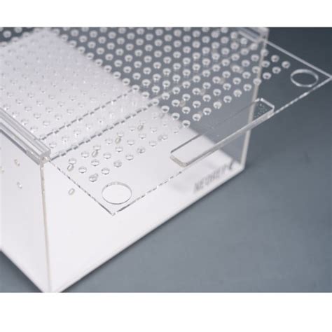 200x150x100mm Acrylic Invert Display Box Neorep Nrae018 Neo Reptile