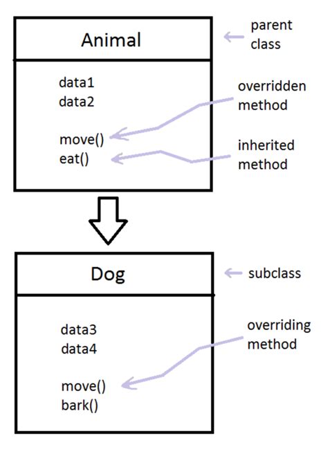 Top Features Of Oops Object Oriented Programming Explained