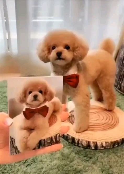 Ravi Narayanan P R On Linkedin Life Lessons Make Time For The People