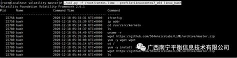 Linux内存分析工具之volatility 墨天轮