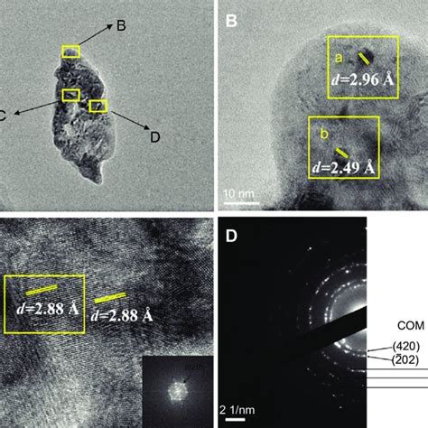 High Resolution Transmission Electron Microscopy And Selected Area Download Scientific Diagram