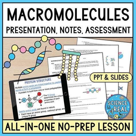 Engaging Macromolecules Lessons For High School Biology Science Is