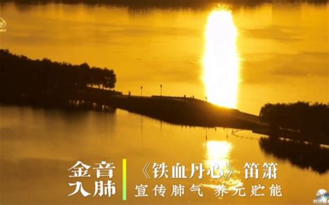 音药精选037金音入肺养元贮能调畅气机提高机休免疫力 账号已注销 账号已注销 哔哩哔哩视频