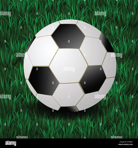 Grama Background Futebol A Collection Of The Top 35 Zhongli Wallpapers And Backgrounds Available