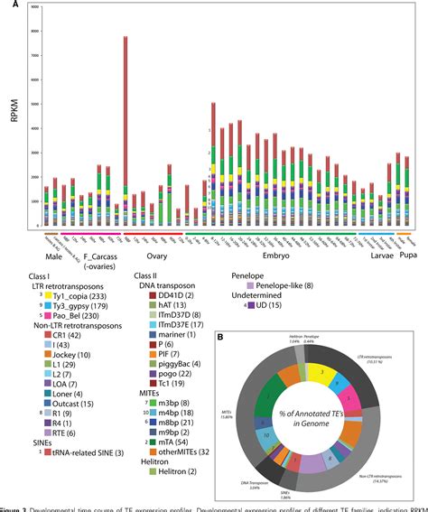 Figure 1 From The Developmental Transcriptome Of The Mosquito Aedes