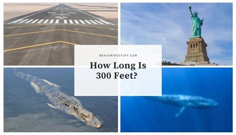 How Tall Is Feet Compared To A Human