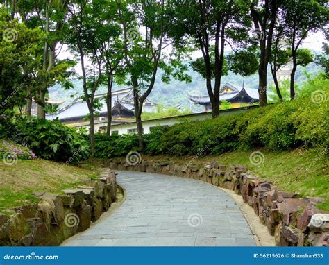 A Path Through Two Rows Of Trees Stock Photo Image Of Light Natural