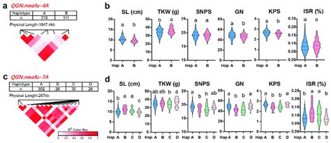 Variations In Haplotypes Of Five Qtls Controlling Spike Related Traits Download Scientific