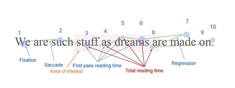 Eyelogic Blog How Eye Tracking Is Transforming Reading Research A Look Into Linguistics And