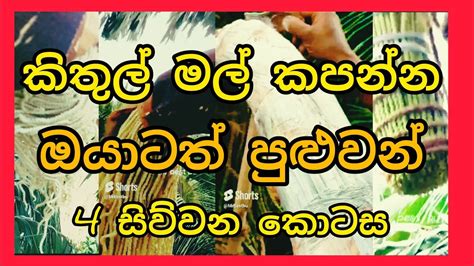 How To Make Kithul Flower How To Make Palm Toddy 🌴 Kithul Mal Kepima
