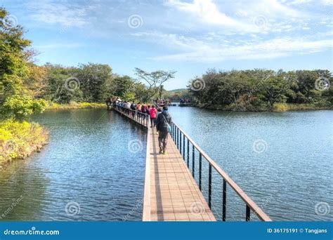 Ecoland Theme Park Jeju Island Editorial Photo Image 36175191