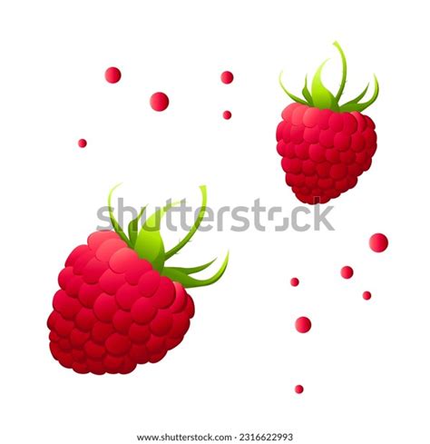 Raspberry Food Cartoon Labels Menus Poster Stock Vector Royalty Free