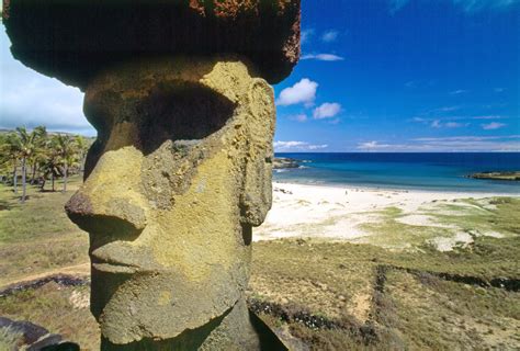 Rats Can Chronicle Human History