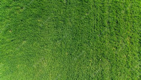 Premium Photo Aerial Green Grass Texture Background Top View