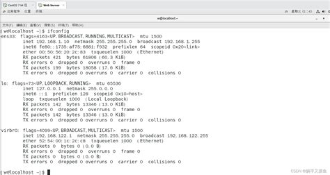 Linux上的dhcp服务器搭建linux搭建dhcp服务器 Csdn博客