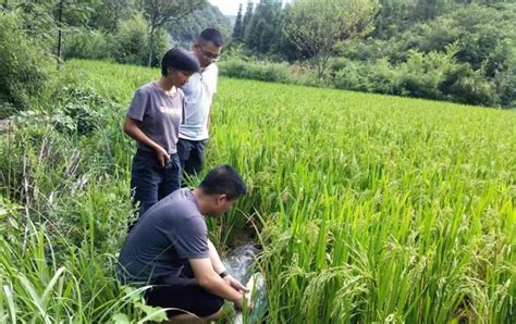 【抗旱保丰收】凯里：多措并举抗旱情 全力以赴保丰收农业工作灾情