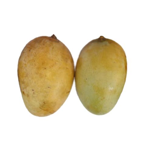 Bari Aam 3 Aamra Pali 1 Kg Hortex