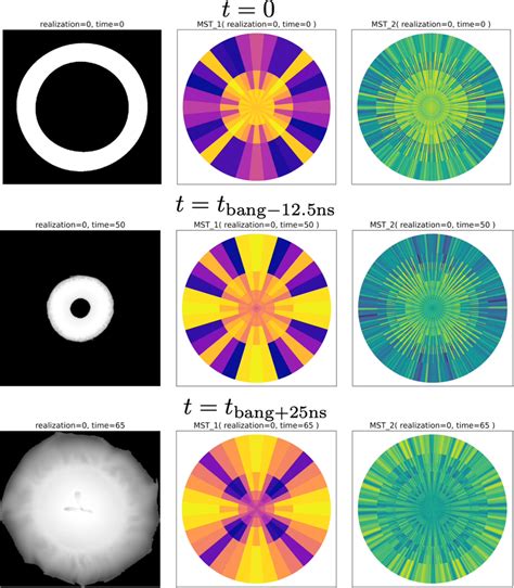 Ensemble Of Realizations At Three Select Times Shown Are The