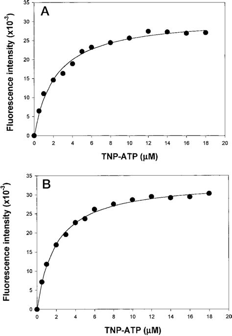 Binding Of Tnp Atp To Mutant Mouse Mdr3 Pgp Binding Of Tnp Atp Was