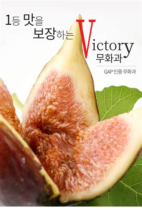 영암 삼호흡의 Gap인증 무화과 농사펀드