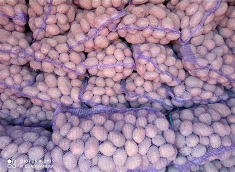 Кортошка опт с доставкой — Agro Kazakhstan