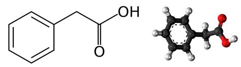 Phenylacetic Acid Synthesis Safrole