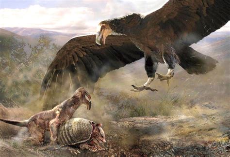 Prehistoric Bird With 23 Foot Wingspan Natureismetal