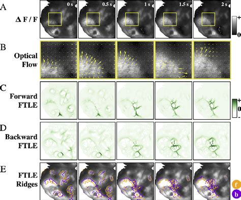 Figure 1 From Go With The Flow Visualizing Spatiotemporal Dynamics In