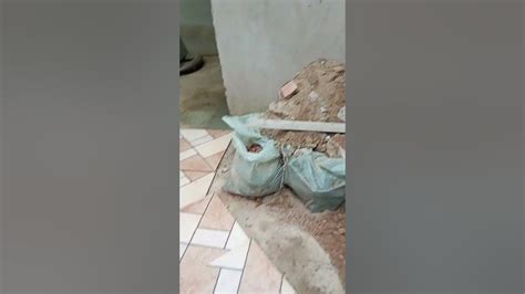 Obra Do Orides Youtube