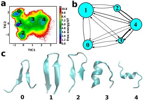 A The 5 State Markov Model For The Gb1 Protein Mapped On The Free Download Scientific Diagram