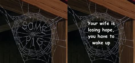 Charlottes Web Spider Web