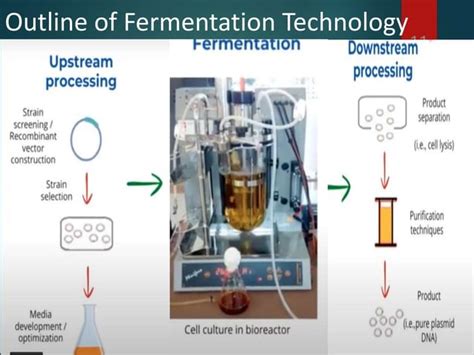 Bioprocess And Fermentation Technology Pdf Biological Sciences Science