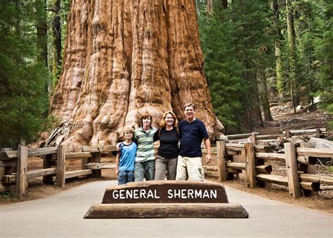 Rv Camping With Hookups Near Sequoia National Park At Beverly Marone Blog